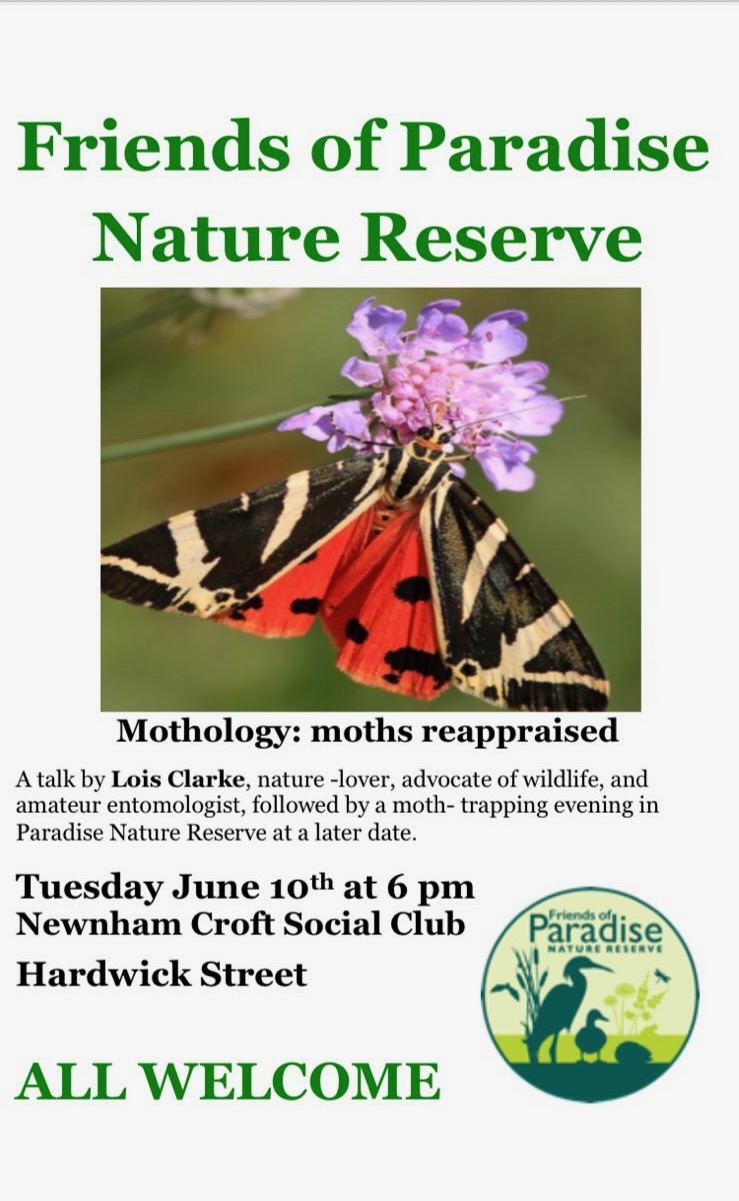 The fascinating world of moths: 10 June 6pm – Friends of Paradise ...